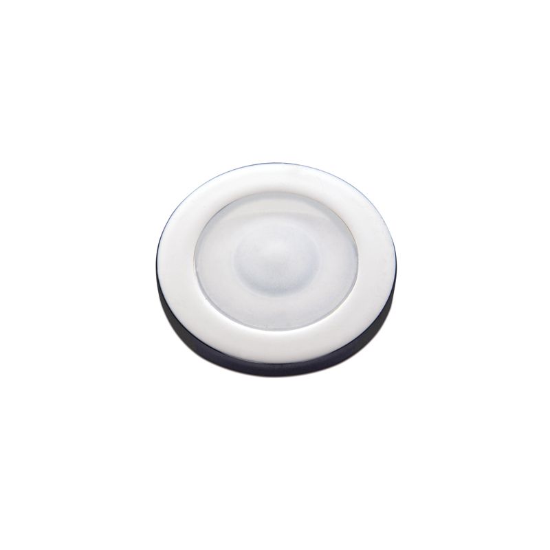 Foresti e Suardi FS5530.C.P4000 Outdoor Courtesy Light PYXIS F in ...
